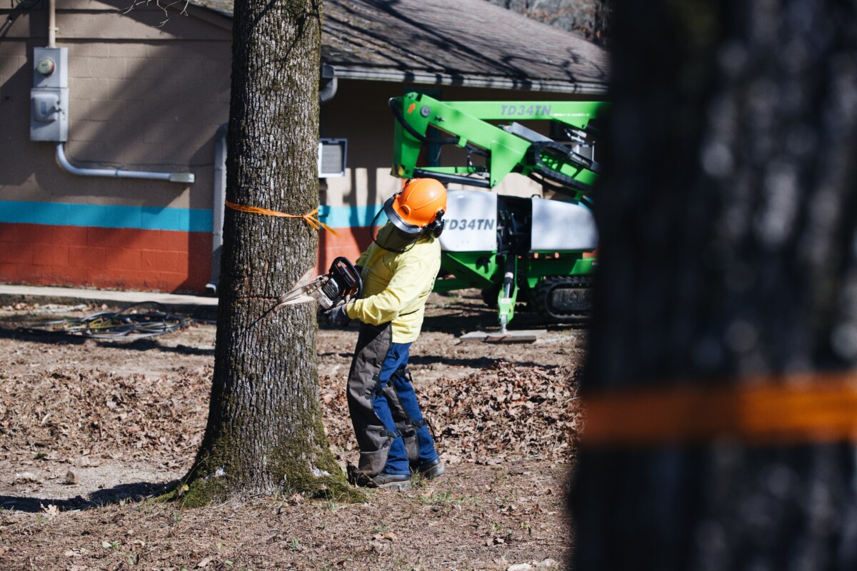 ABDR chainsaw crew cuts trees at Camp Paron - Arkansas Baptist News